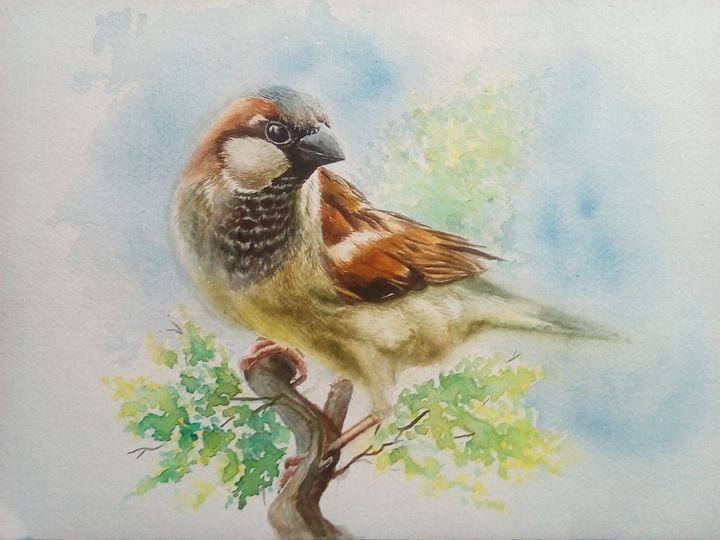 Ssjohnhewin art n craft - Drawings & Illustration