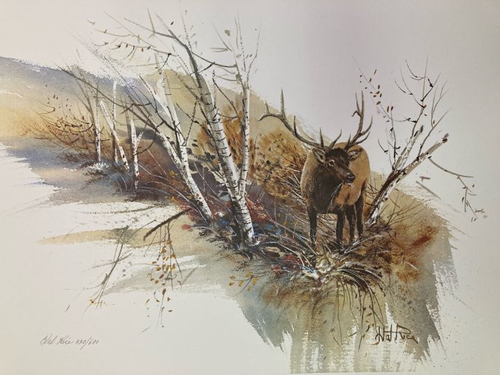 Majestic Elk - Harold "Hal" Rice - Paintings & Prints, Animals, Birds ...