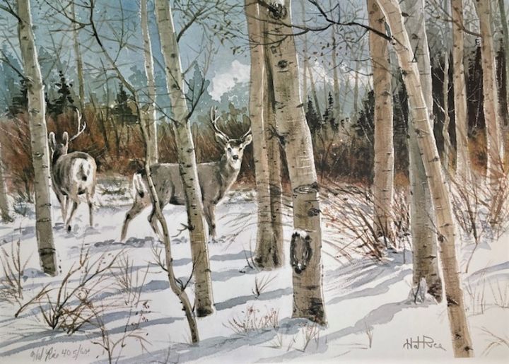 Harold "Hal" Rice - Paintings & Prints