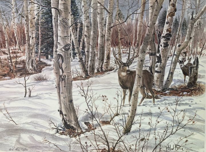 Natures Camouflage - Harold "Hal" Rice - Paintings & Prints, Animals ...