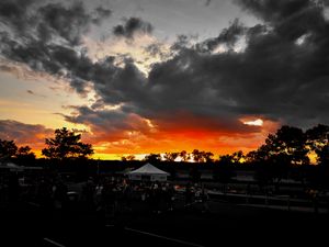 Si Cole - Photography, Paintings & Prints