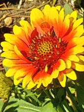 Unique Expressions - Photography