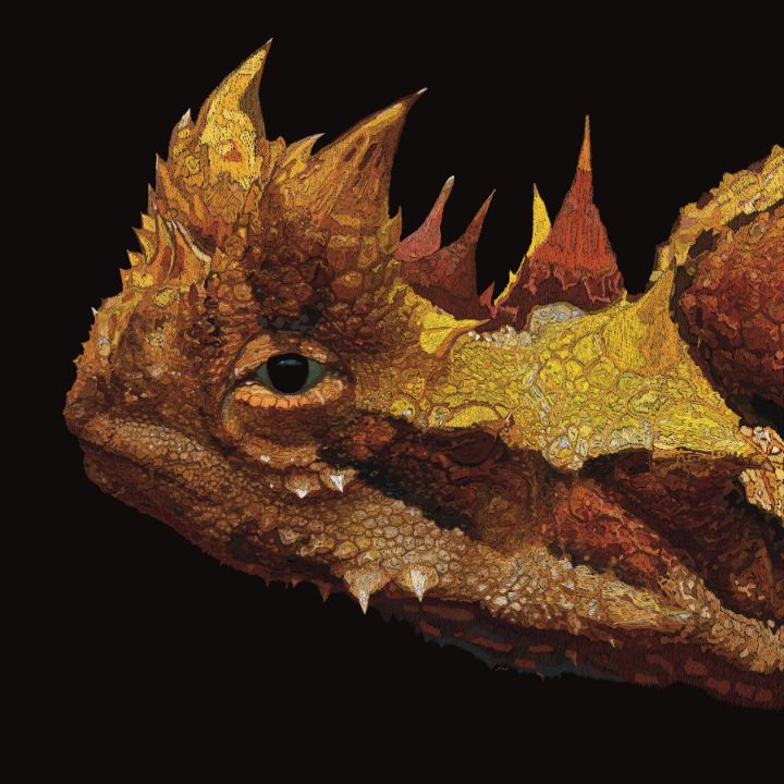 Australian Thorny Devil - The Art of Cain - Drawings & Illustration ...