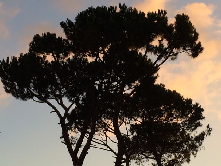 Pine tree - ArtN - Digital Art & AI, Landscapes & Nature, Forests ...