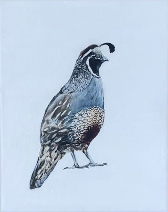 Quail - Western Art - Cox - Paintings & Prints, Animals, Birds, & Fish ...