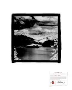 Pictii - Photography