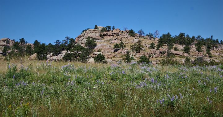 Vedauwoo's Purple Plains - Arbitrary Ginger Photography - Photography ...