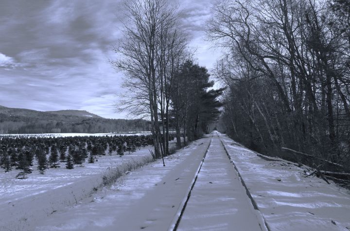 Snowy Railroad Track Black and White - Arbitrary Ginger Photography ...
