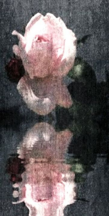 Rose Reflection - Beautiful Stunning Art by Goodeyez - Digital Art & AI ...