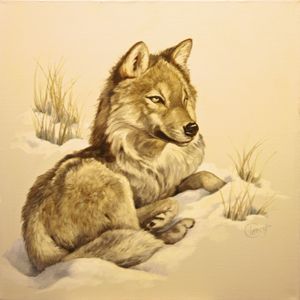 Clancy Cherry Wildlife Artist - Paintings & Prints