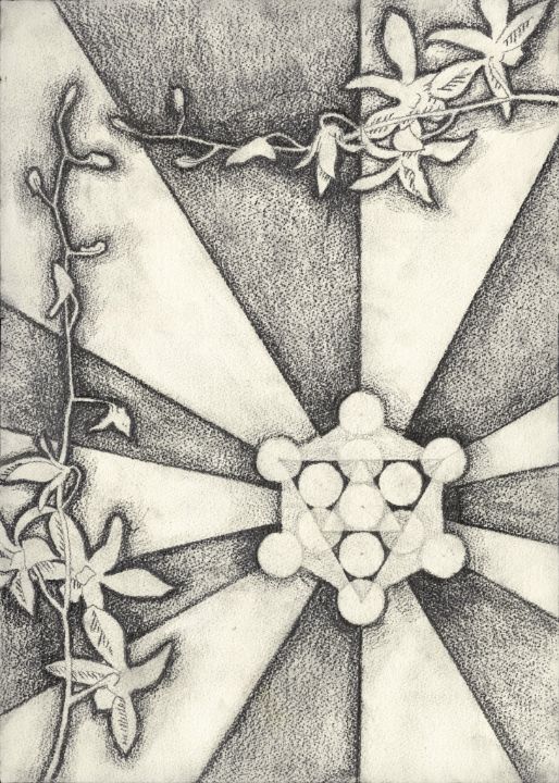 "Orchid and Metatron's Geometry" - Rob Lilly Fine Art - Drawings ...