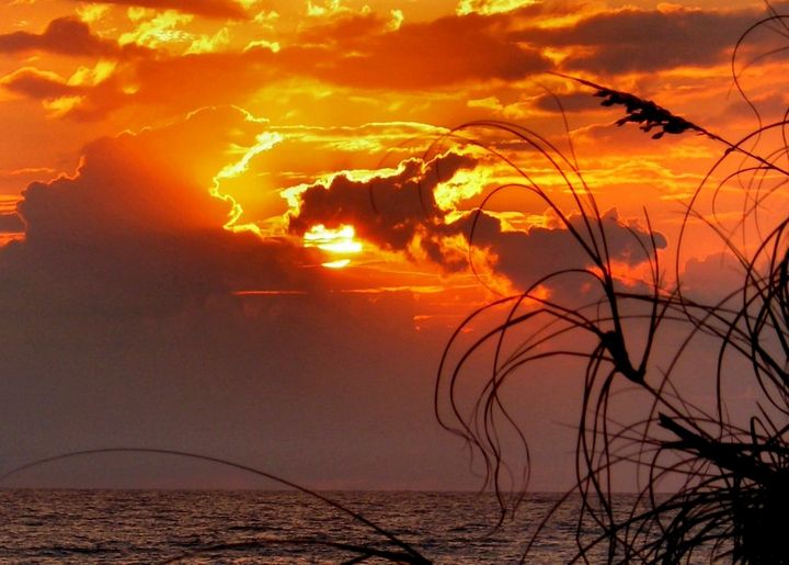 Natural Brilliance - Natural Impressions by Nancy - Photography ...