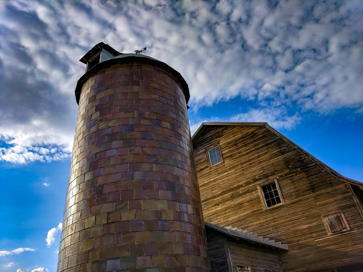 Old Partners on the Farm - Peaceful Prints & Wall Murals - Photography ...