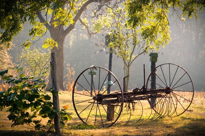 Nostalgic Morning on the Farm - Peaceful Prints & Wall Murals ...