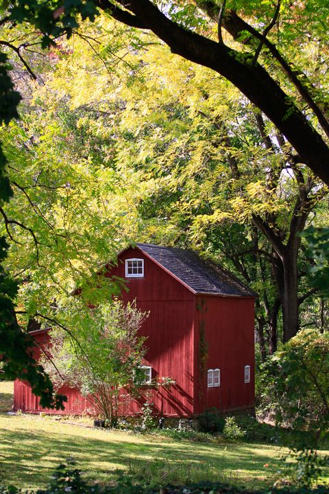 Red Barn in Early Spring - Peaceful Prints & Wall Murals - Photography ...