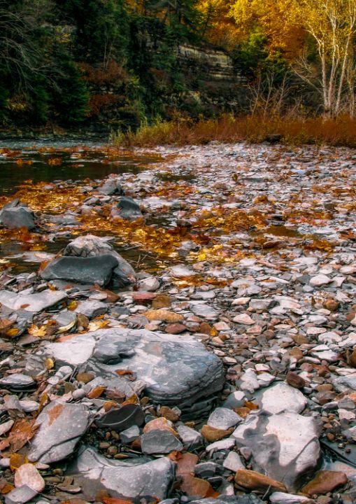 Rocks and Autumn Leaves - Tom Brickhouse - Photography, Landscapes ...
