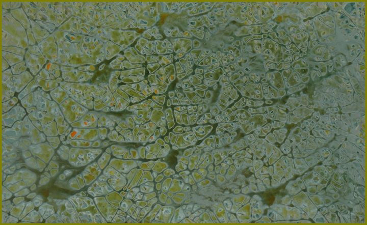 Flora - Craig Slon - Paintings & Prints, Abstract, Other Abstract - ArtPal