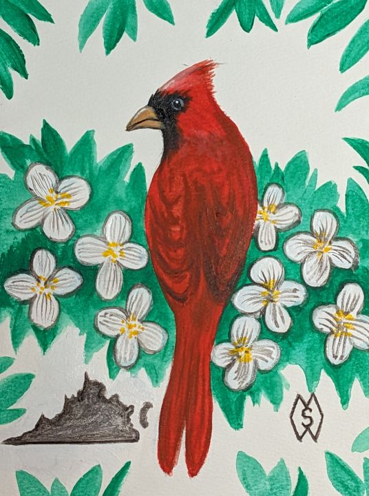 Virginia state bird and flower - Matt Starr Fine Art - Paintings ...