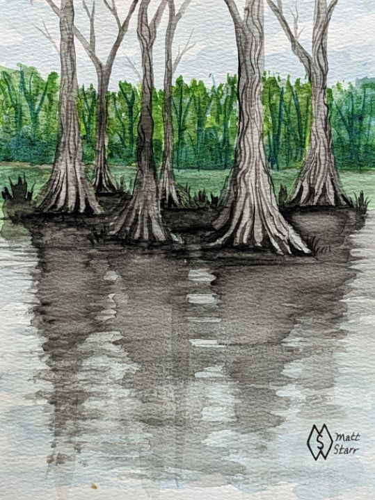 Cypress trees in the swamp - Matt Starr Fine Art - Paintings & Prints ...
