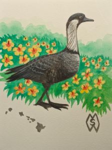 West Virginia state bird and flower - Matt Starr Fine Art - Paintings ...