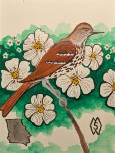 Georgia state bird and flower - Matt Starr Fine Art - Paintings ...