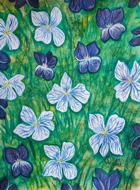 Wild violet flowers - Matt Starr Fine Art - Paintings & Prints, Flowers ...