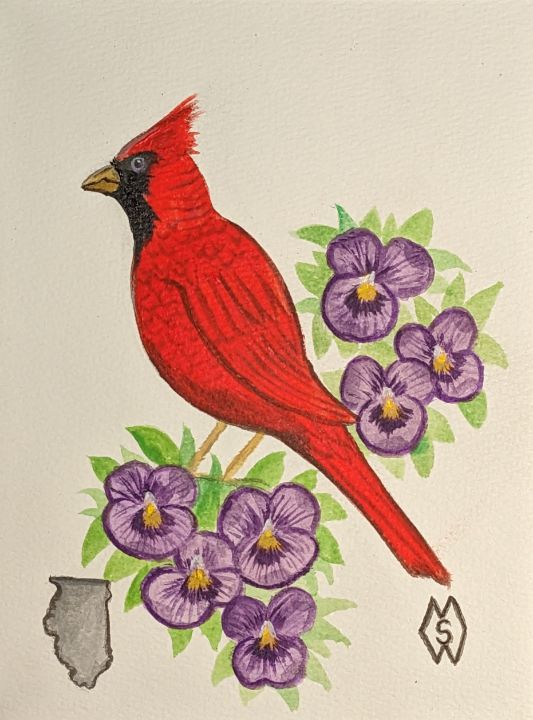 Illinois state bird and flower - Matt Starr Fine Art - Paintings ...