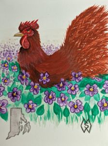Kentucky state bird and flower - Matt Starr Fine Art - Paintings ...