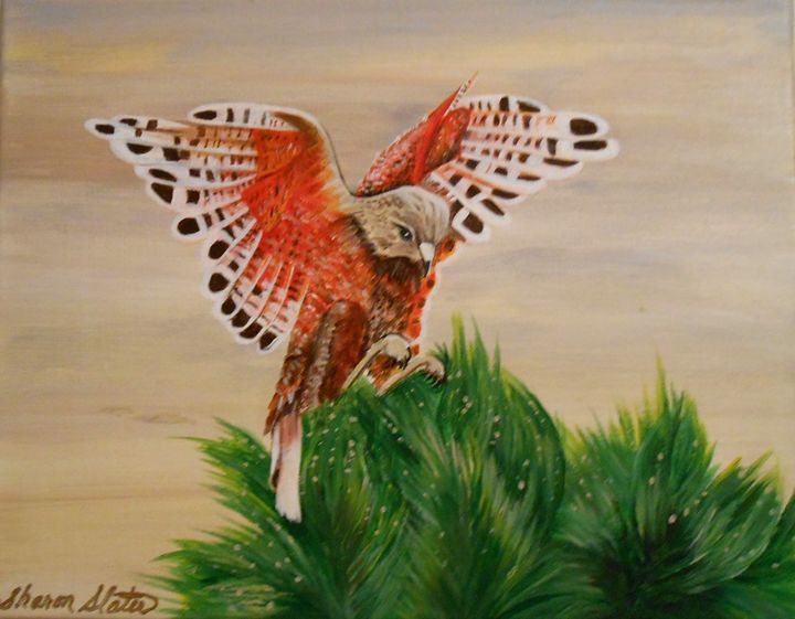 Landing bird - Sharon Slater - Paintings & Prints, Animals, Birds ...
