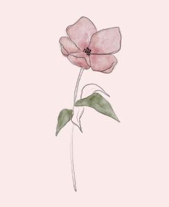 Sabane - Drawings & Illustration, Photography, Paintings & Prints