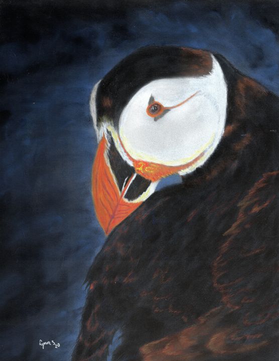 ATLANTIC PUFFIN - DREAMZ-ART - Paintings & Prints, Animals, Birds ...