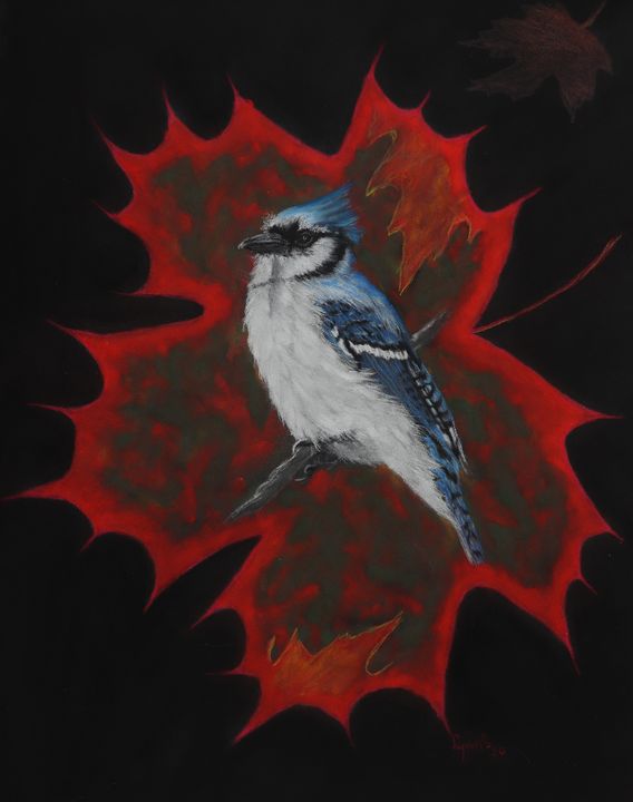 PURELY CANADIAN; BLUE JAY fine art. - DREAMZ-ART - Drawings ...