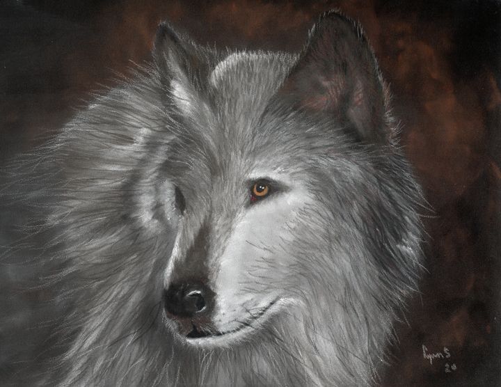 WOLF ON RED & BLACK - DREAMZ-ART - Drawings & Illustration, Animals ...