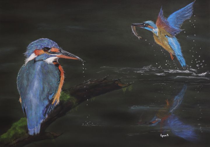 KING FISHERS - DREAMZ-ART - Drawings & Illustration, Animals, Birds ...