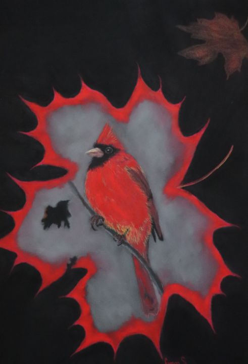 CARDINAL PURELY CANADIAN - DREAMZ-ART - Drawings & Illustration ...