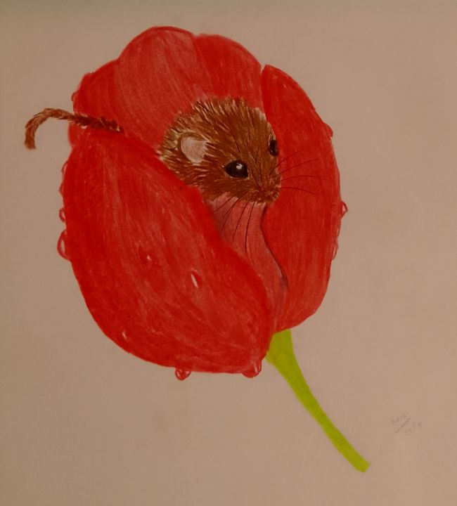 Innocent - Sara Soyza - Drawings & Illustration, Animals, Birds, & Fish ...