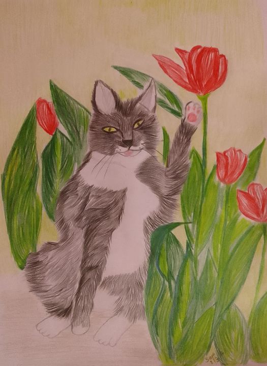 Valentine Cat - Sara Soyza - Drawings & Illustration, Animals, Birds ...