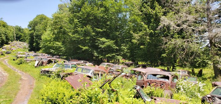 Rusty - "B"rie's Acrylic Creation - Photography, Vehicles ...