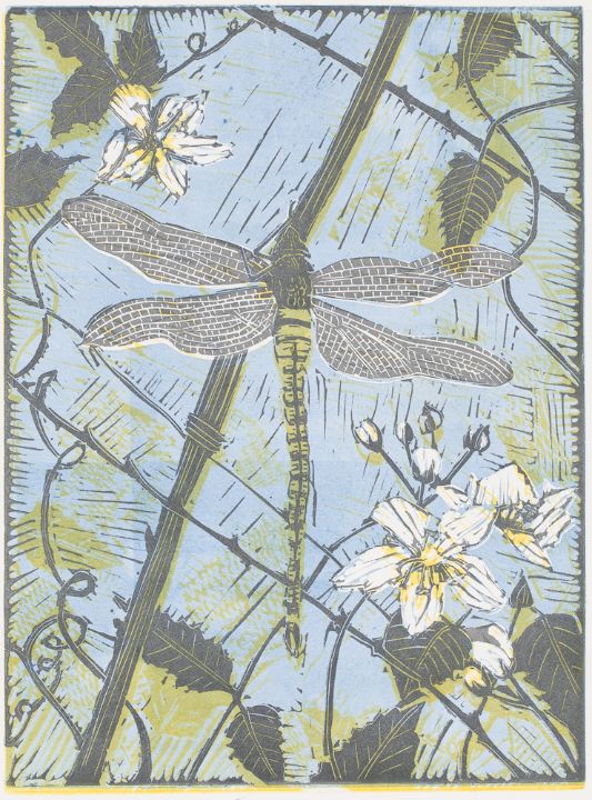 Dragonfly on Bramble - Danielle Stretch - Paintings & Prints, Flowers ...