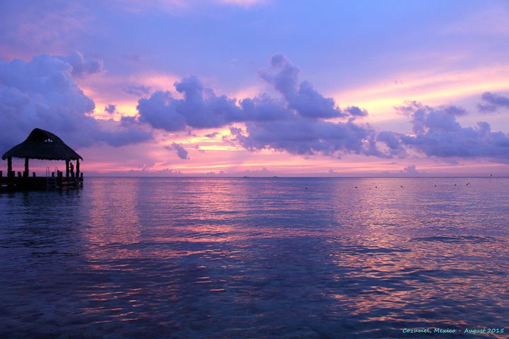 Wagner - Photography