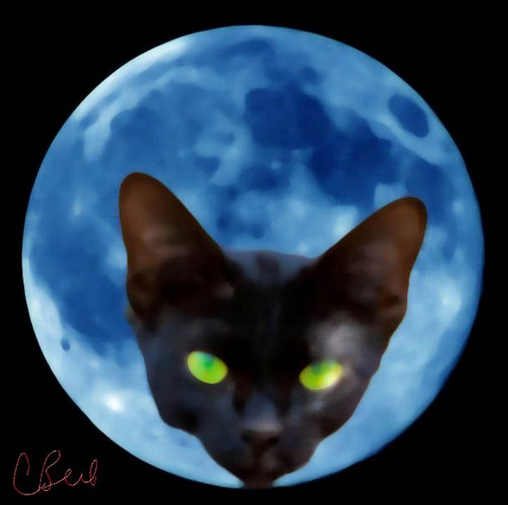 Cat in Moon - MannyBell - Digital Art & AI, Animals, Birds, & Fish ...
