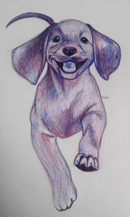 FaFa - Drawings & Illustration