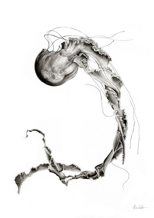 Tiny Dancer - Tiffany Landale Studio - Drawings & Illustration, Animals ...