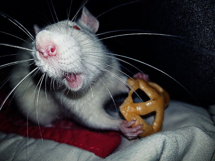 Nocturnum - Photography