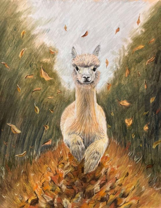Alpaca Fall Run - Alyson's Animal Art - Drawings & Illustration ...