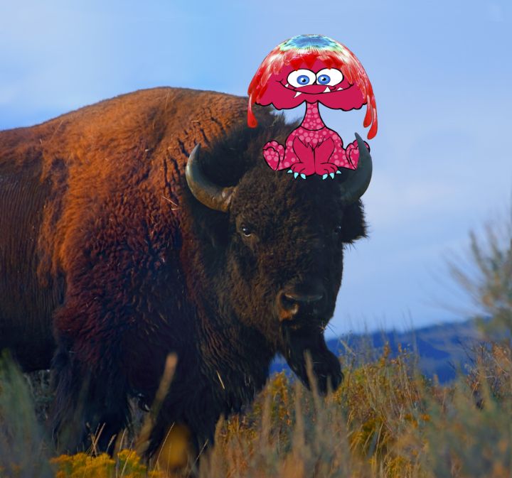 Buffalo's Cute Companion - Madly Cute Monsters - Photography, Animals ...