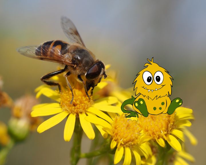 Bee Happy - Madly Cute Monsters - Drawings & Illustration, Childrens ...