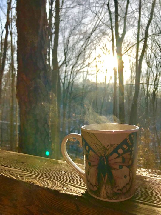 Chilly Morning - Art by Cherron Nagel - Photography, Landscapes ...