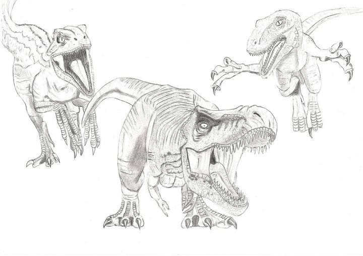 T REX - Sketches - Drawings & Illustration, Animals, Birds, & Fish ...