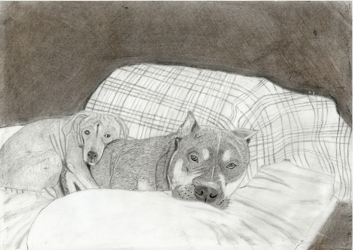 Sketches - Drawings & Illustration